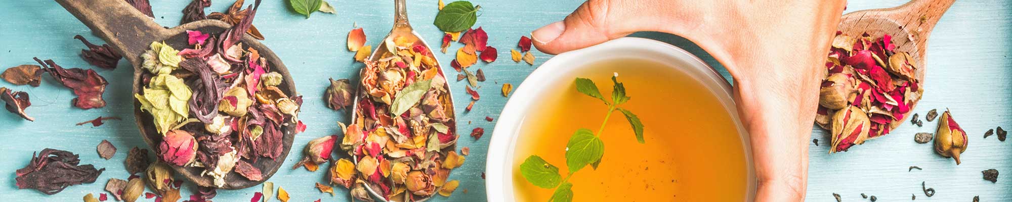 Premium Tee | Adventskalender & Geschenksets mit Premium Tee, Kaffee ...